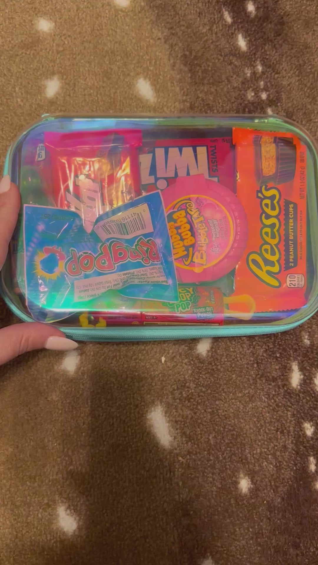 Iridescent Zip Case – Too Goodies Candy